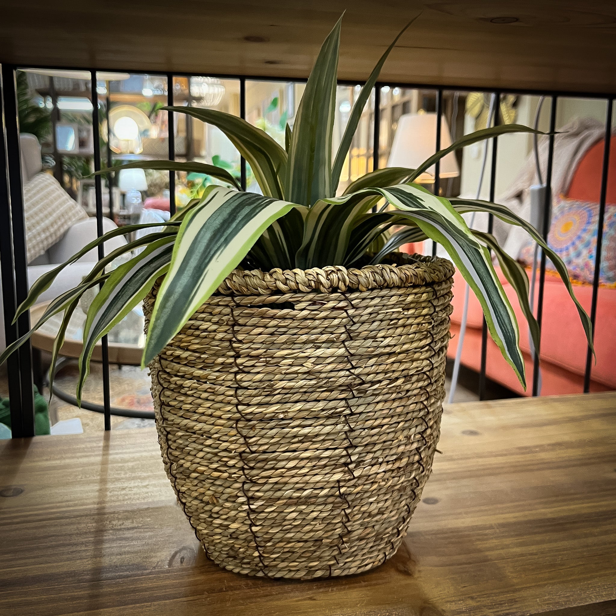 Cesta fibra natural S – Petra Decora